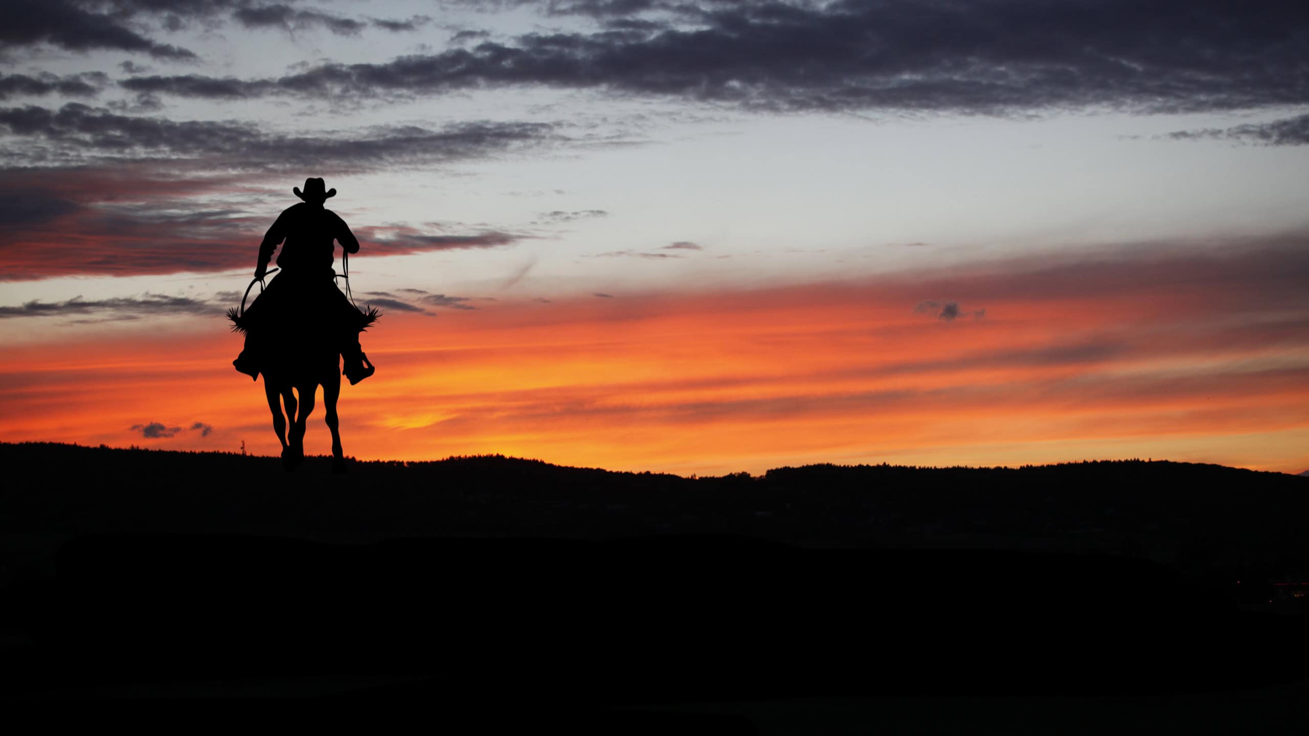Universal Analytics’ Ride Into the Sunset: Saying good-bye to your old ...