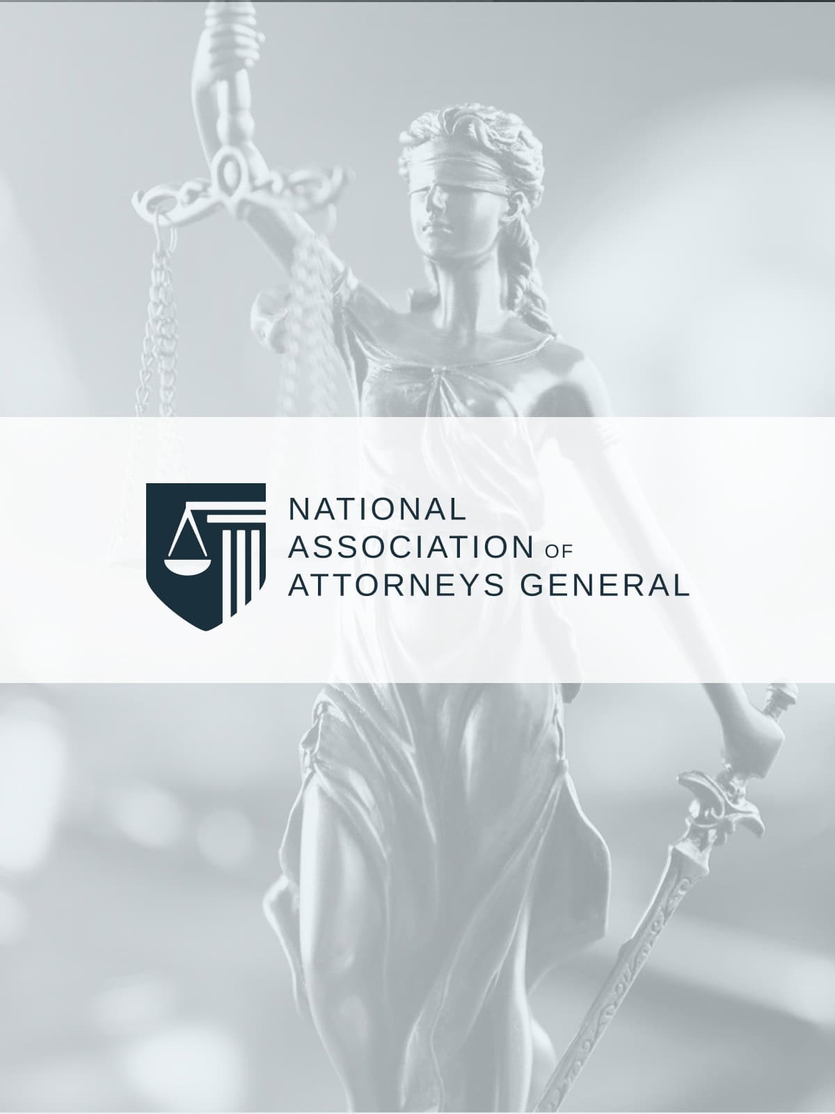 National Association of Attorneys General - Yoko Co