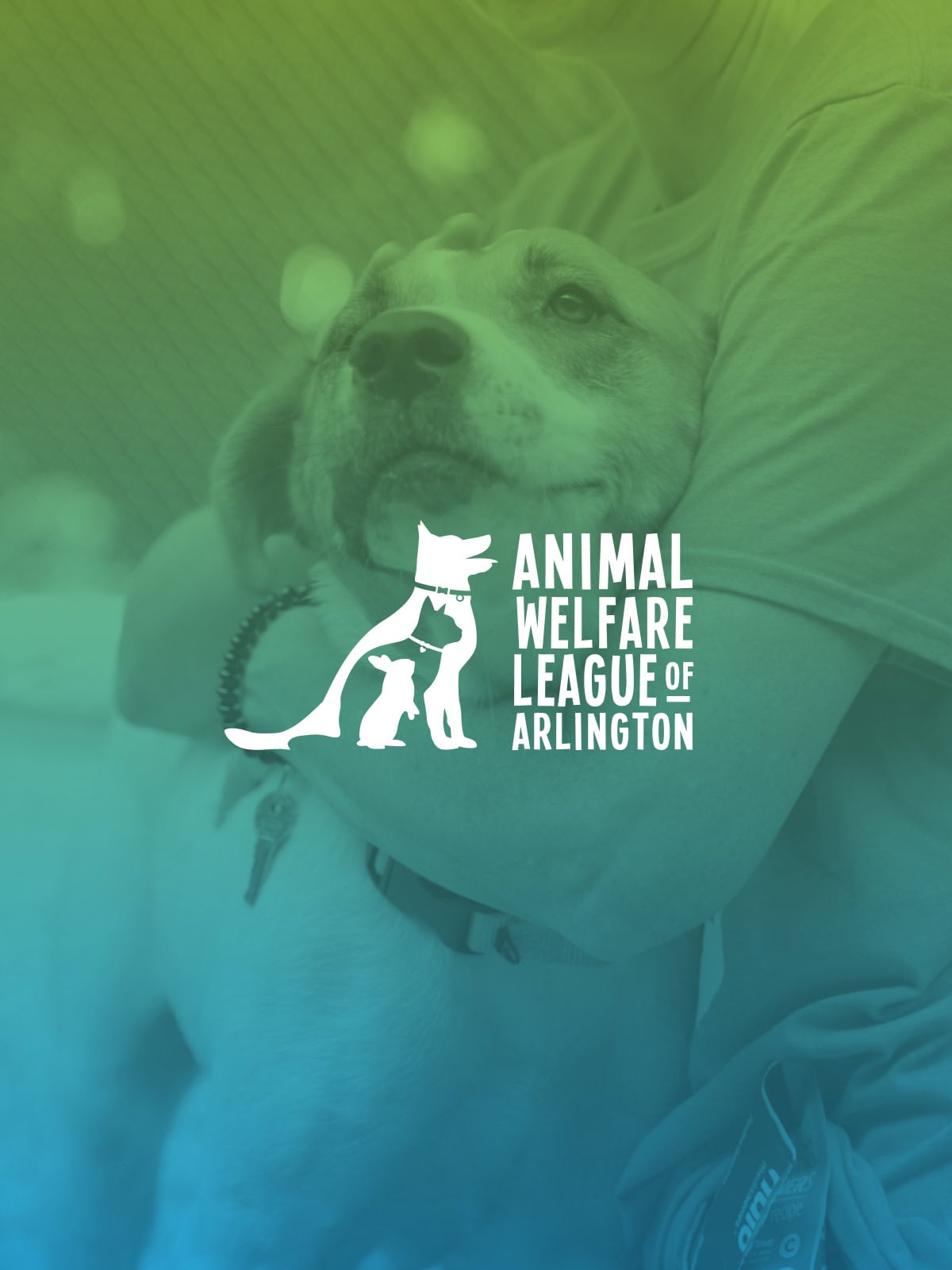 Animal Welfare League of Arlington - Yoko Co