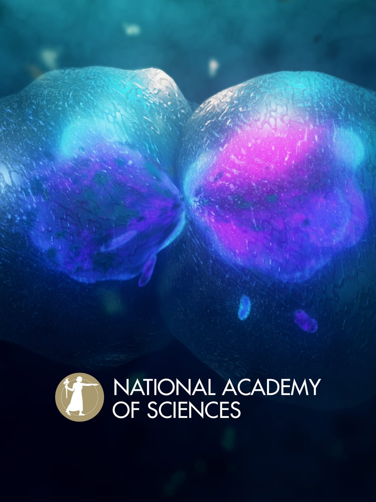 National Academy of Sciences - Yoko Co